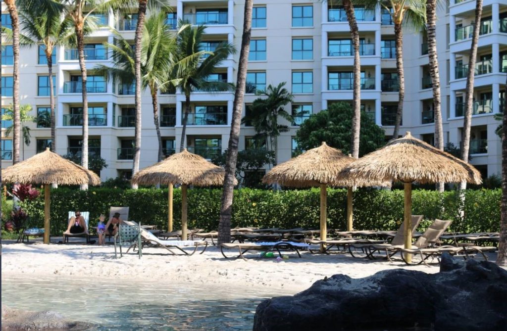 Shop Online For Viro Java Artificial Thatch Panels | BYXS