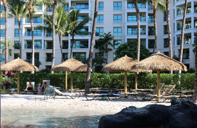 Shop Online For Viro Java Artificial Thatch Panels | BYXS